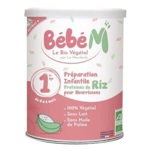 Vegan Baby Formula: All The Options To Consider (2022)