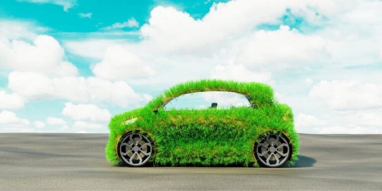 Can Vegans Drive Cars? - Choose Veganism
